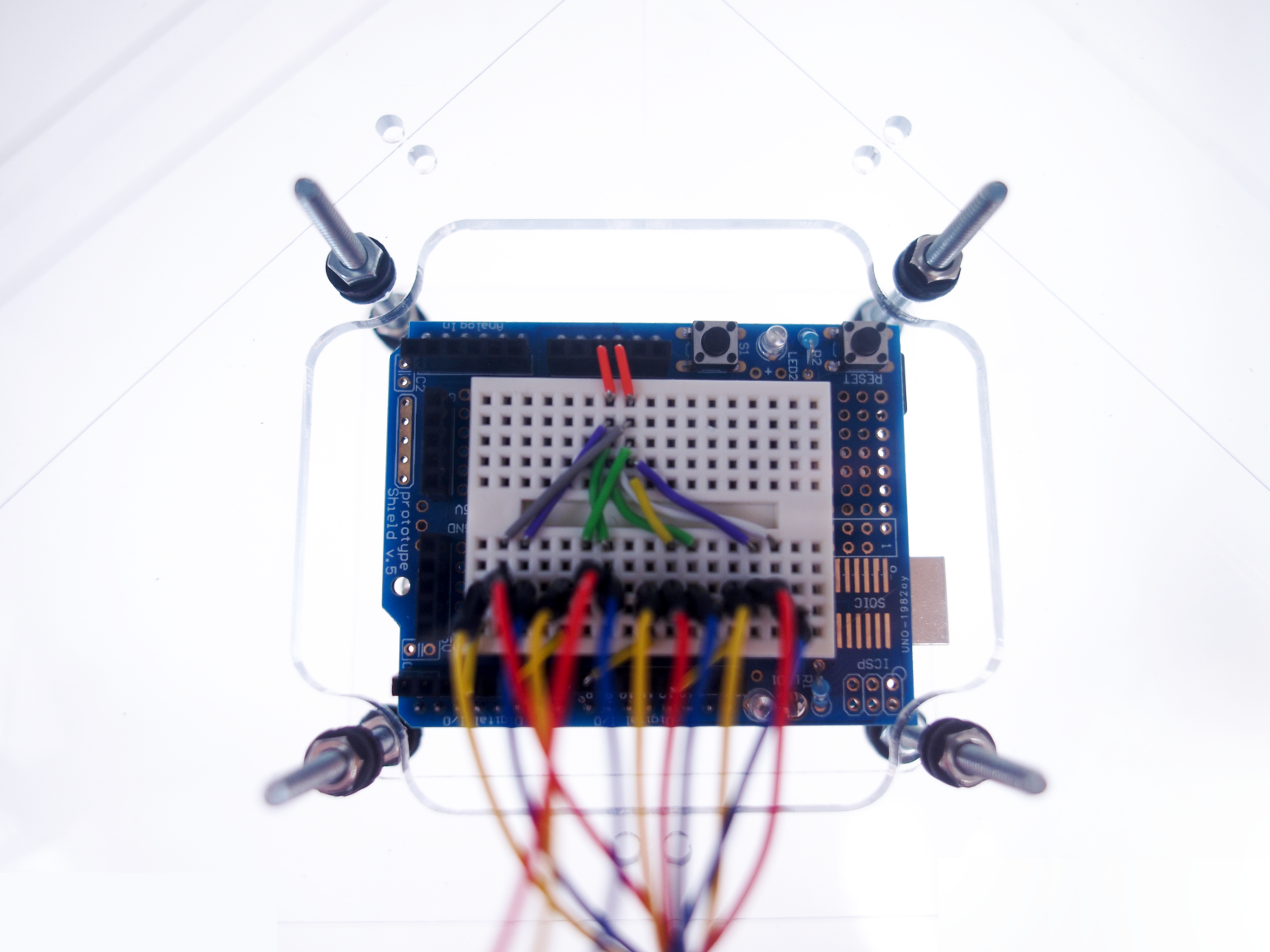 Kinetic Membranes – Dionysus